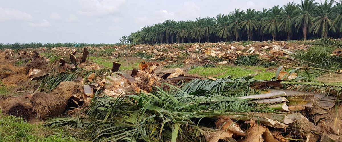 Planet « United Malacca Berhad